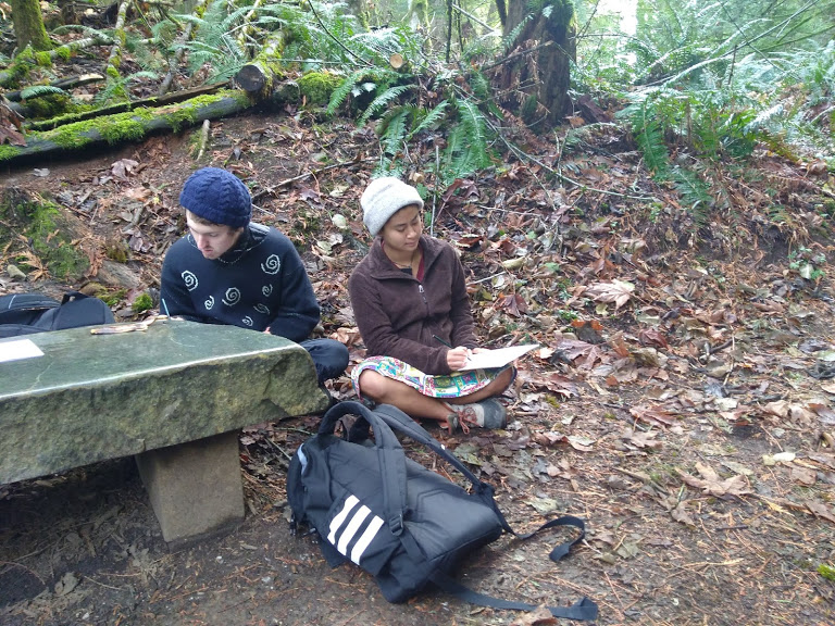 Experiencing Bellingham’s Oldest Forest | Reconnect Earth