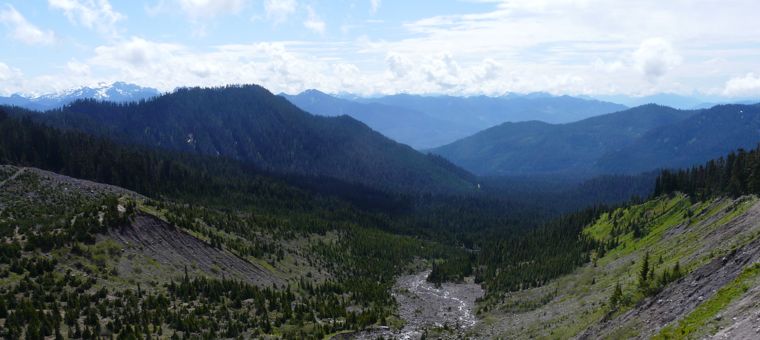 Reconnect Earth Summer 2023 COVID Policies | Reconnect Earth